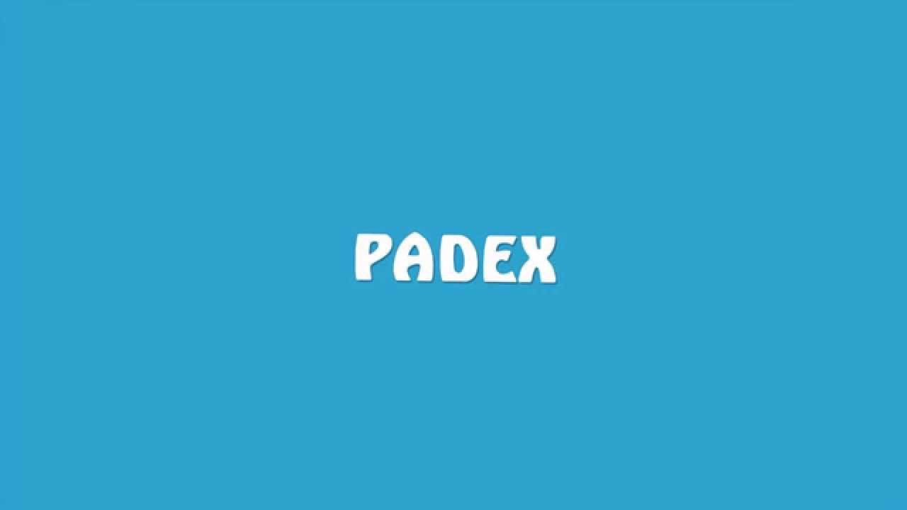 PADEX INTRO 2D || TheFreeze & ZEFA - YouTube