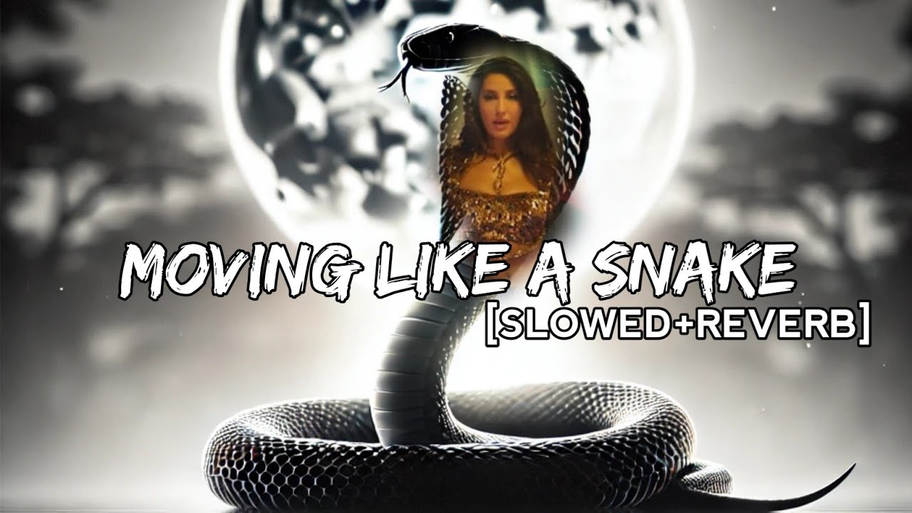 snake 🐍 (Slowed+Reverb) | Moving Like a snake | LOFI SONG - YouTube