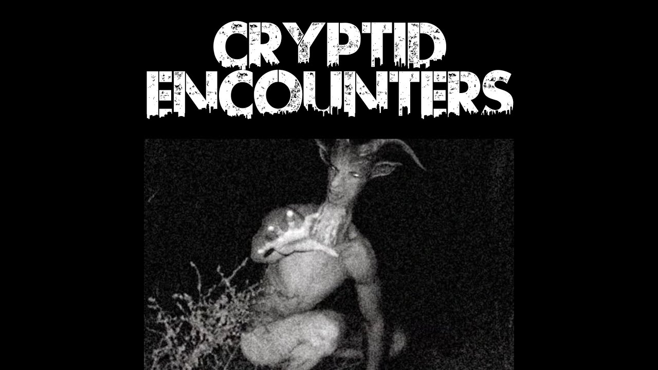 Cryptid Encounters - YouTube