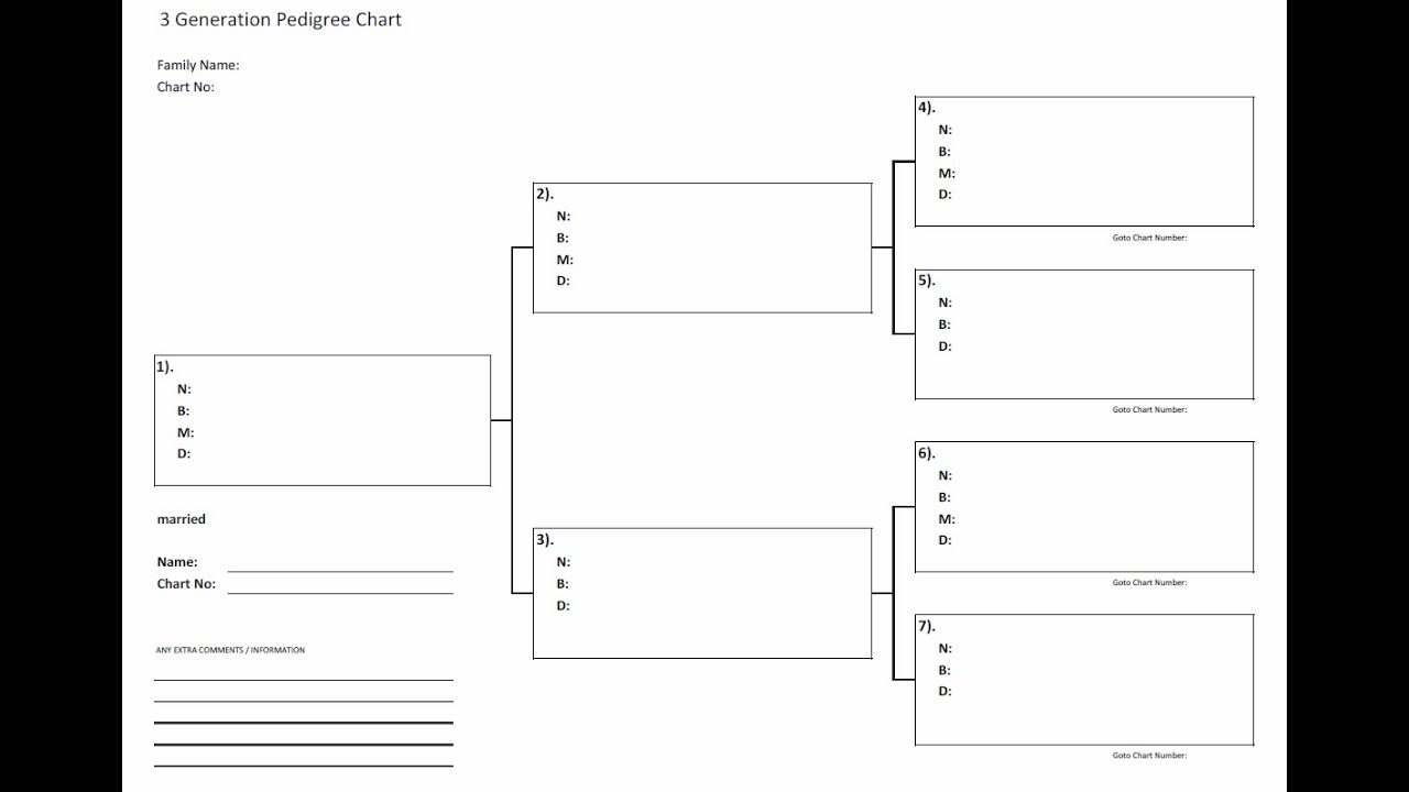3 Generation Pedigree Chart Template