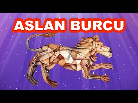 Tam Bir ASLAN Burcu Olduğunu Kanıtlayan 10 İşaret