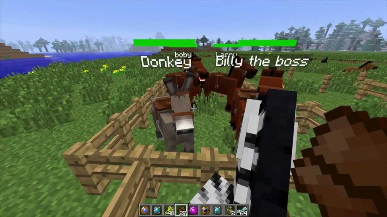 MineCraft Mo Creatures Zebra - YouTube