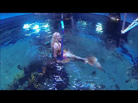 Daniela Rodler at Silverton Casino Las Vegas - YouTube