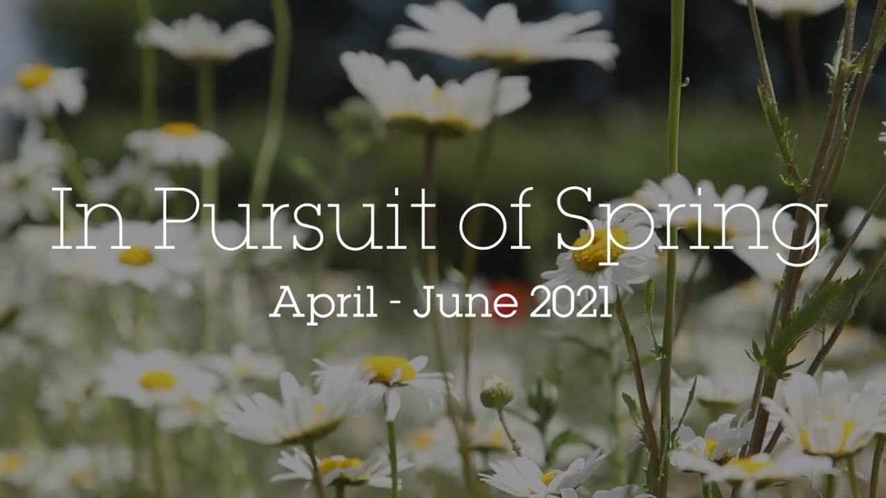 In Pursuit of Spring - YouTube