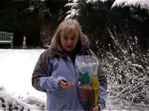 Anne & Bronte feeding birds - YouTube