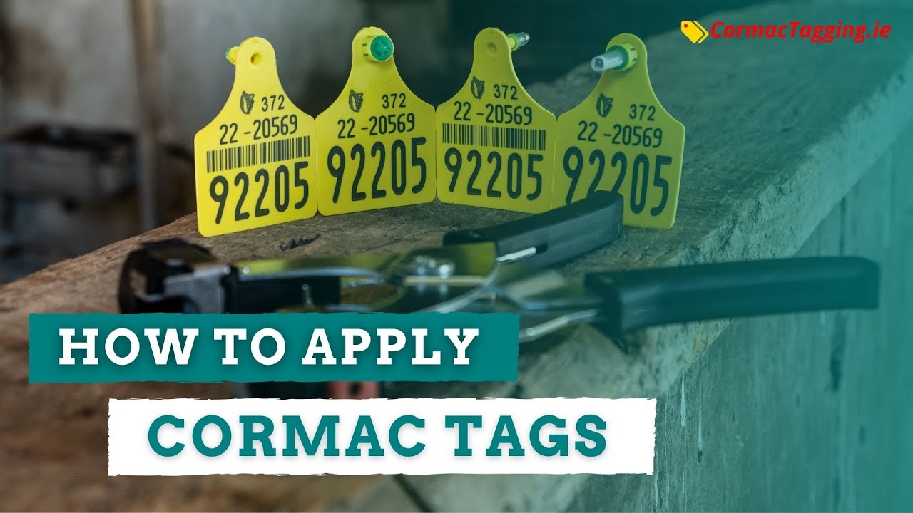 How to apply Cormac Tags | Cormac Tagging - YouTube