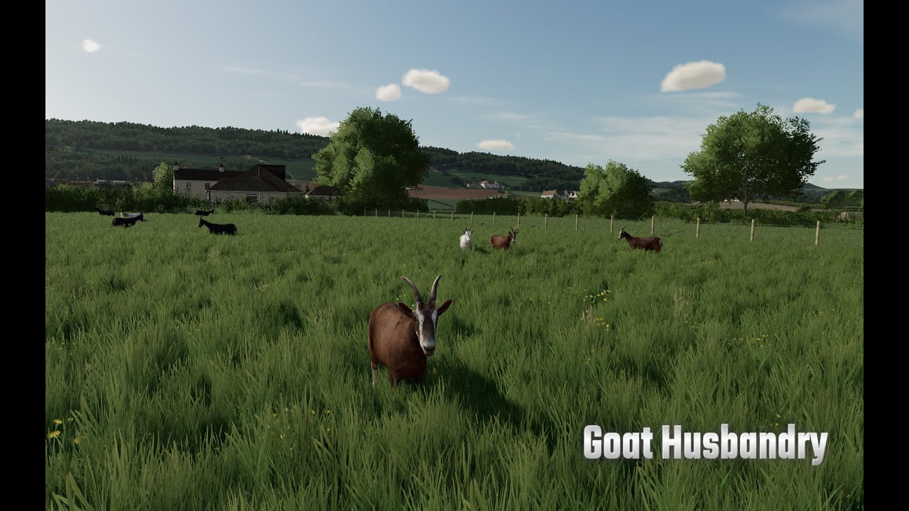 Goat husbandry Farming Simulator 22 - YouTube