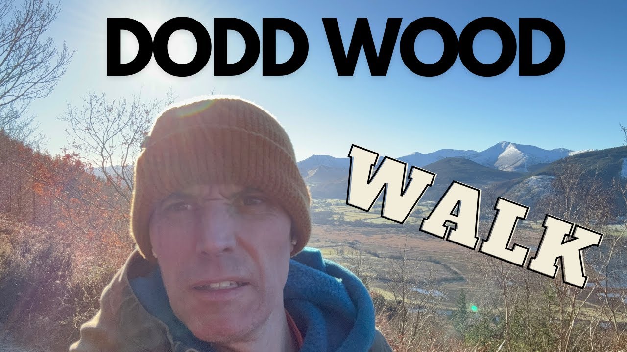 A quick wander up Dodd Wood - YouTube