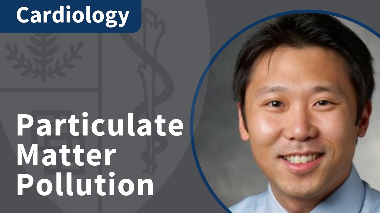 Particulate Matter Pollution and Cardiovascular Disease | Cardiology ...