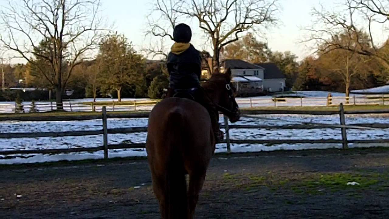 Jacob's first riding lesson 004 - YouTube