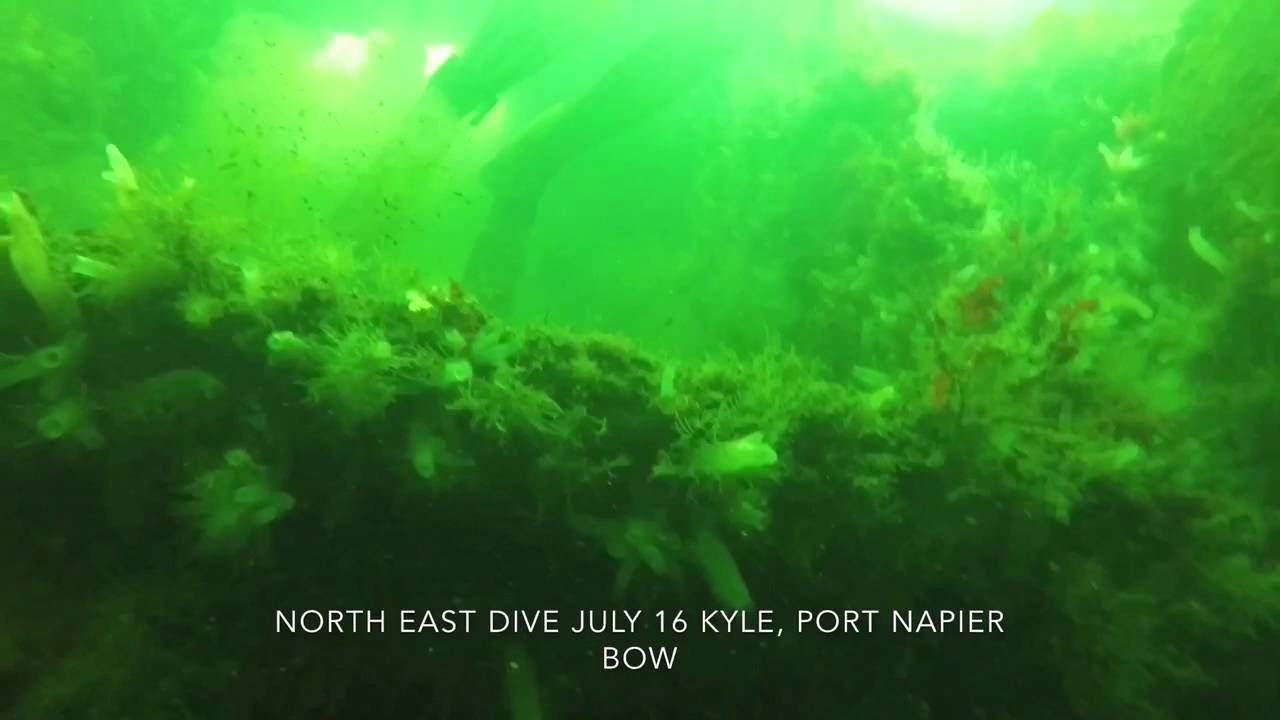 North East Dive Kyle Trip, July 16, Port Napier, Bow - YouTube
