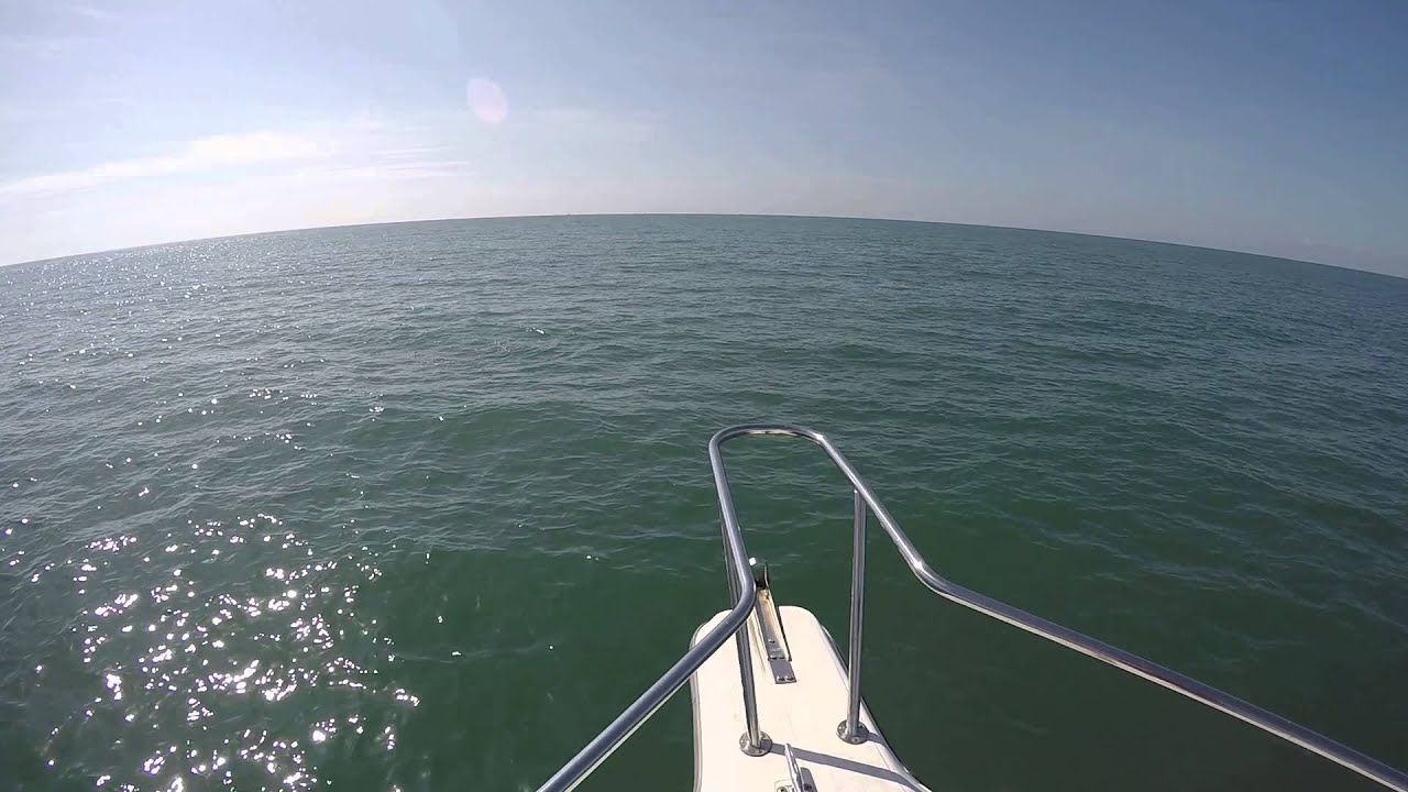 Dolphin Tail Slap - YouTube
