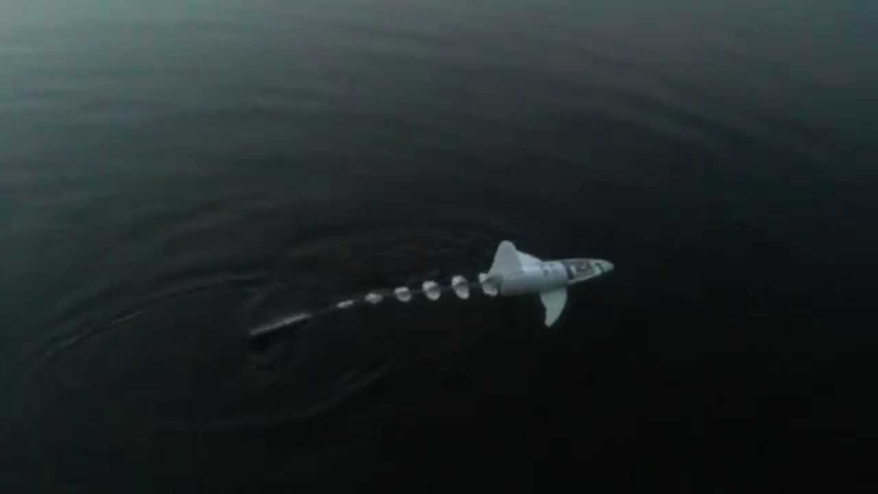 RC Robot Shark - YouTube
