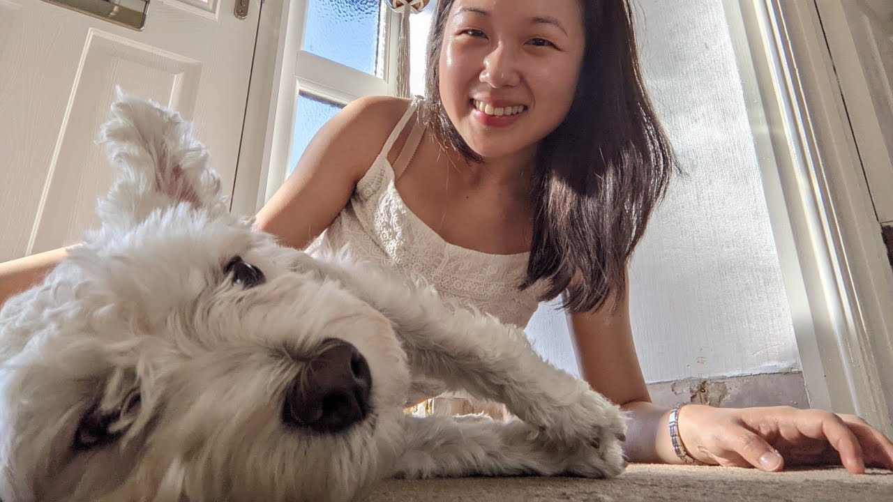 Witty the Wee-Chon 💛 [August 2022 - D3] - YouTube