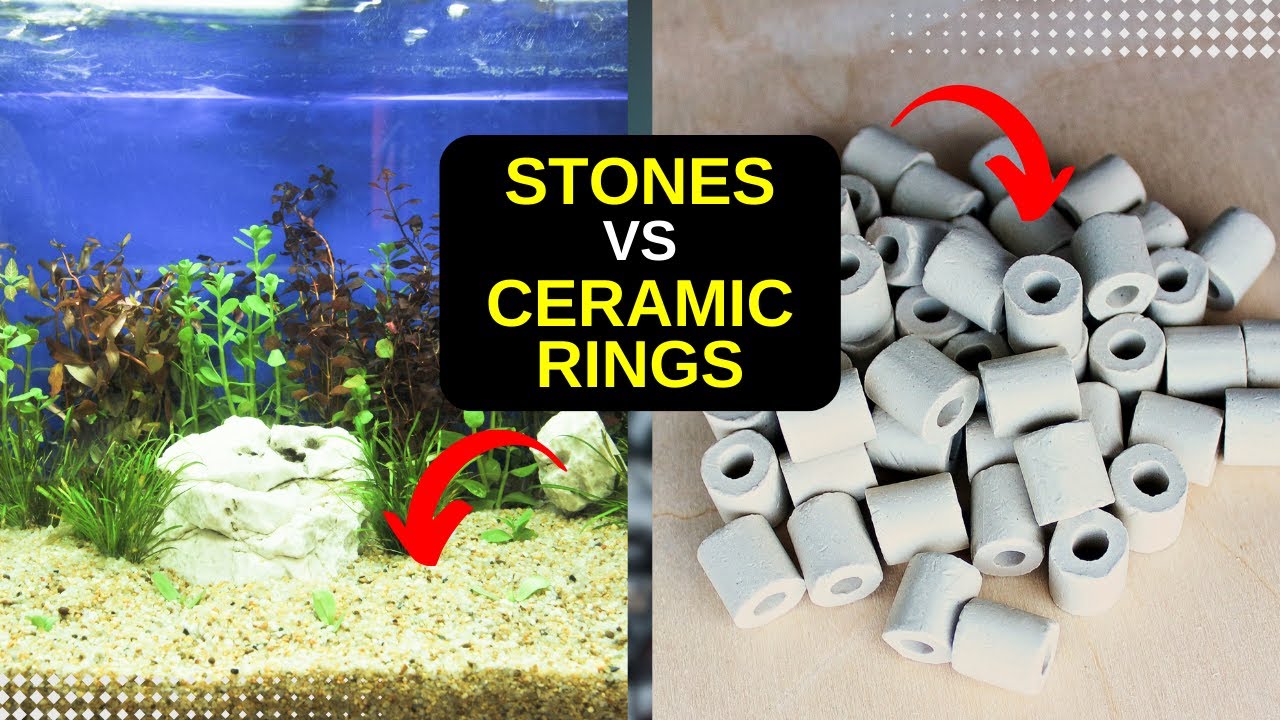 Ceramic Rings vs Aquarium Stones | Best for Beneficial Bacteria Colony ...