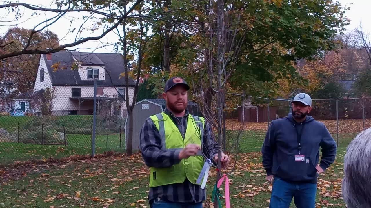 Video: Tree planting demonstration held in Auburn - YouTube