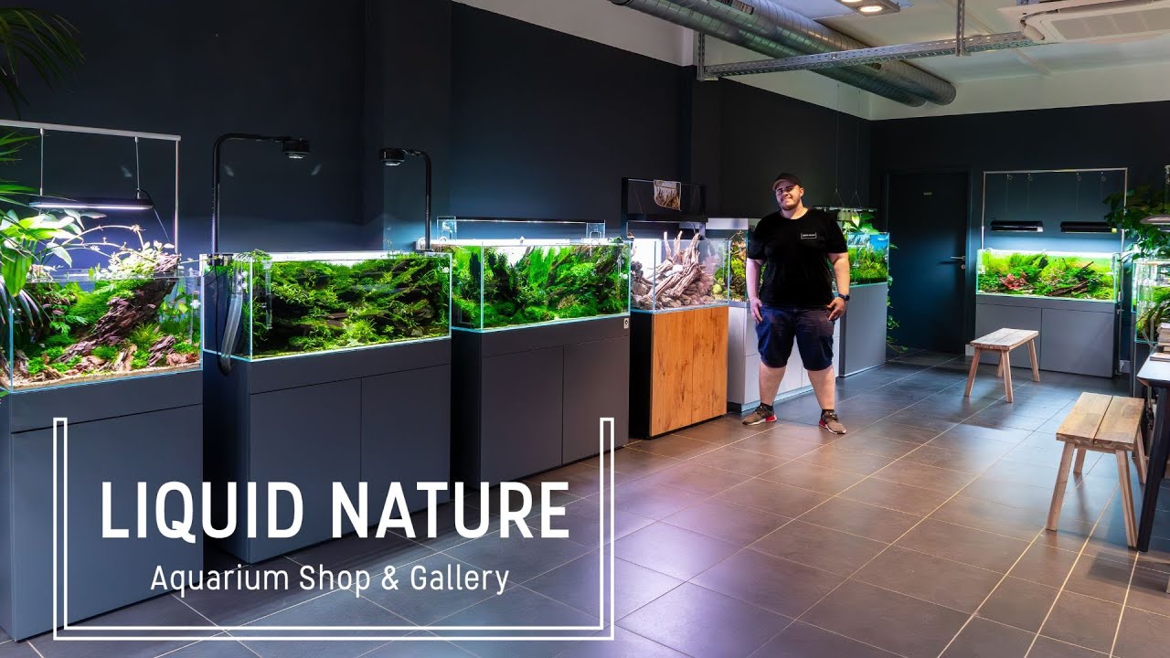 Liquid Nature - Aquascaping Shop Tour! - YouTube