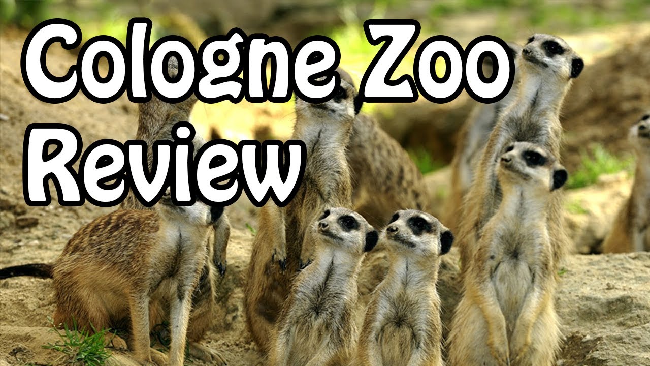 Cologne Zoo Review - YouTube