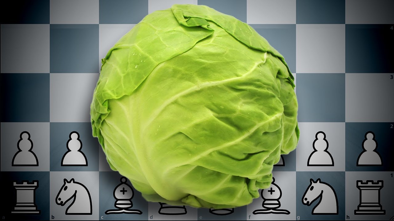 The Cabbage Opening - YouTube