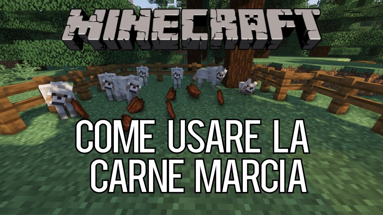 A cosa serve la carne marcia in Minecraft. Come usarela anche se serve ...