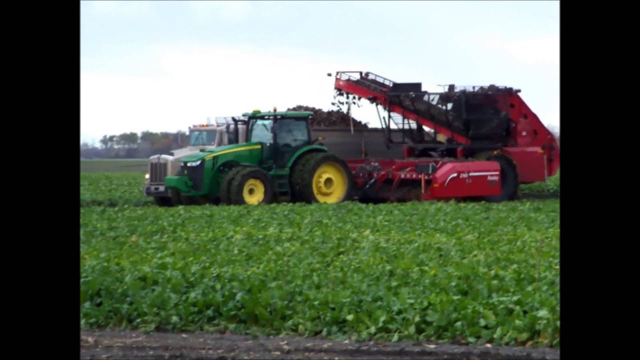 M & M Farms III - YouTube