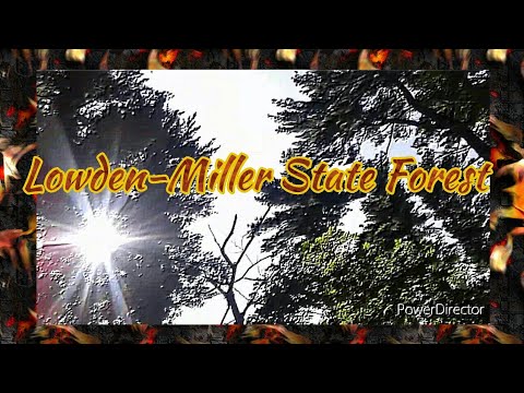 Lowden - Miller state forest - YouTube