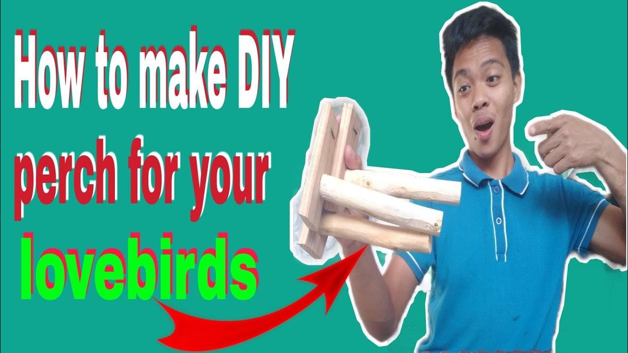 How to make DIY perch for your birds I Paano gumawa ng wooden perch for ...