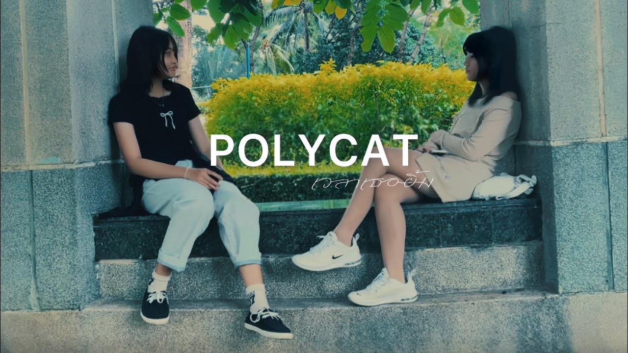 Polycat-เวลาเธอยิ้ม (unofficial MV) - YouTube