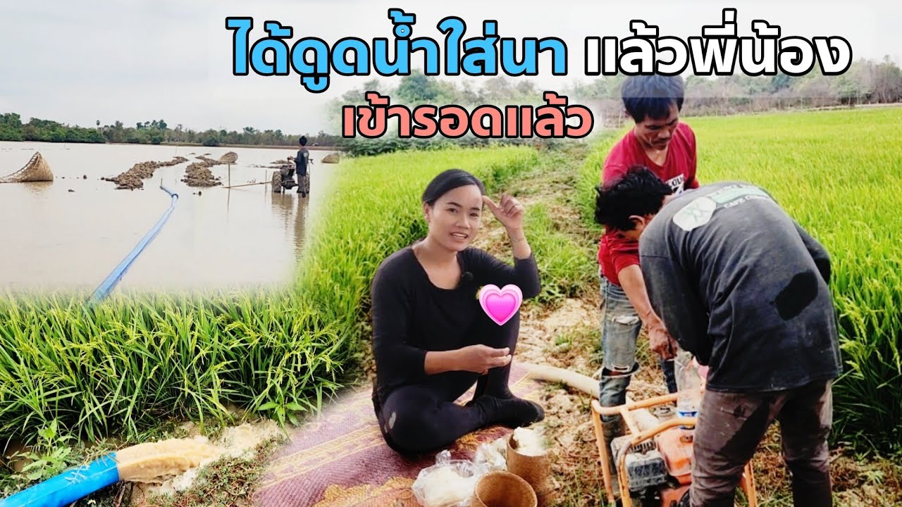ได้ดูดน้ำใส่นาแล้วเด้อพี่น้อง หมดค่าใช้จ่ายไปเท่าไหร่มาสรุปในคลิปนี้ ...