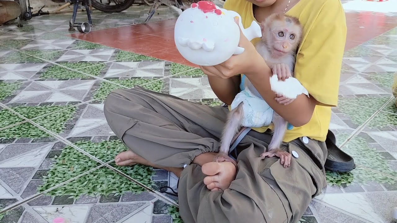 The bimbo monkey draws statues with his sisters@monkey_bim - YouTube