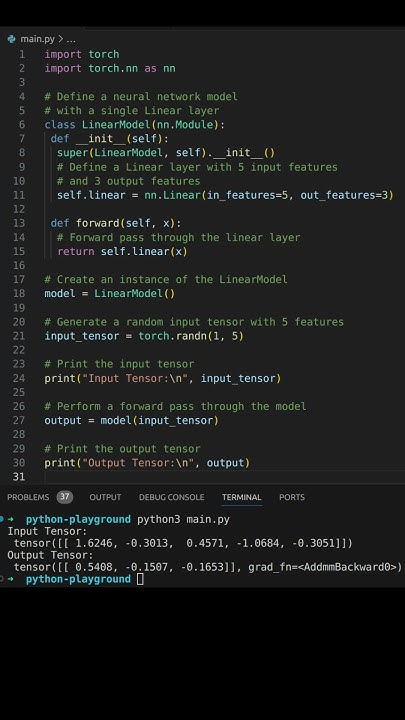 Introduction to Linear Layers in Neural Networks with PyTorch - YouTube