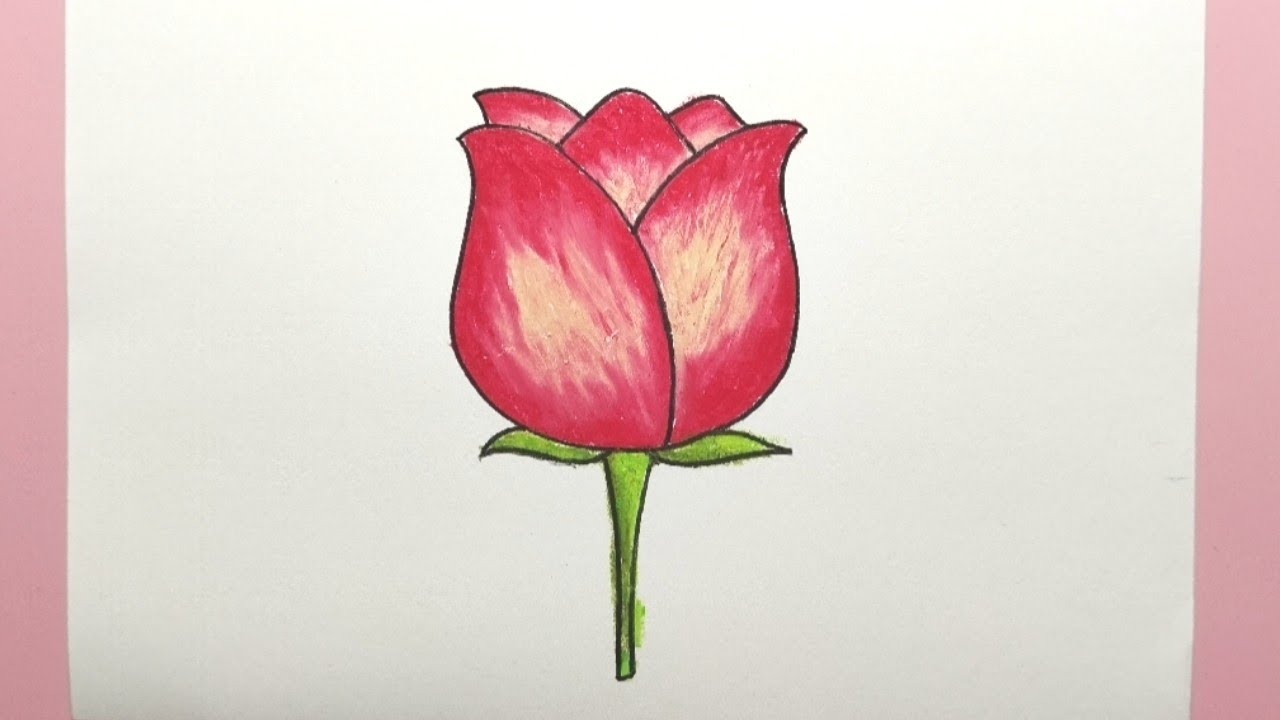 Cara menggambar bunga mawar - How to draw a rose - YouTube