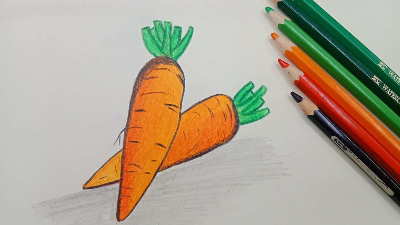 How To Draw a Carrot |Drawing Tutorial| @mehzabinartfoundation - YouTube