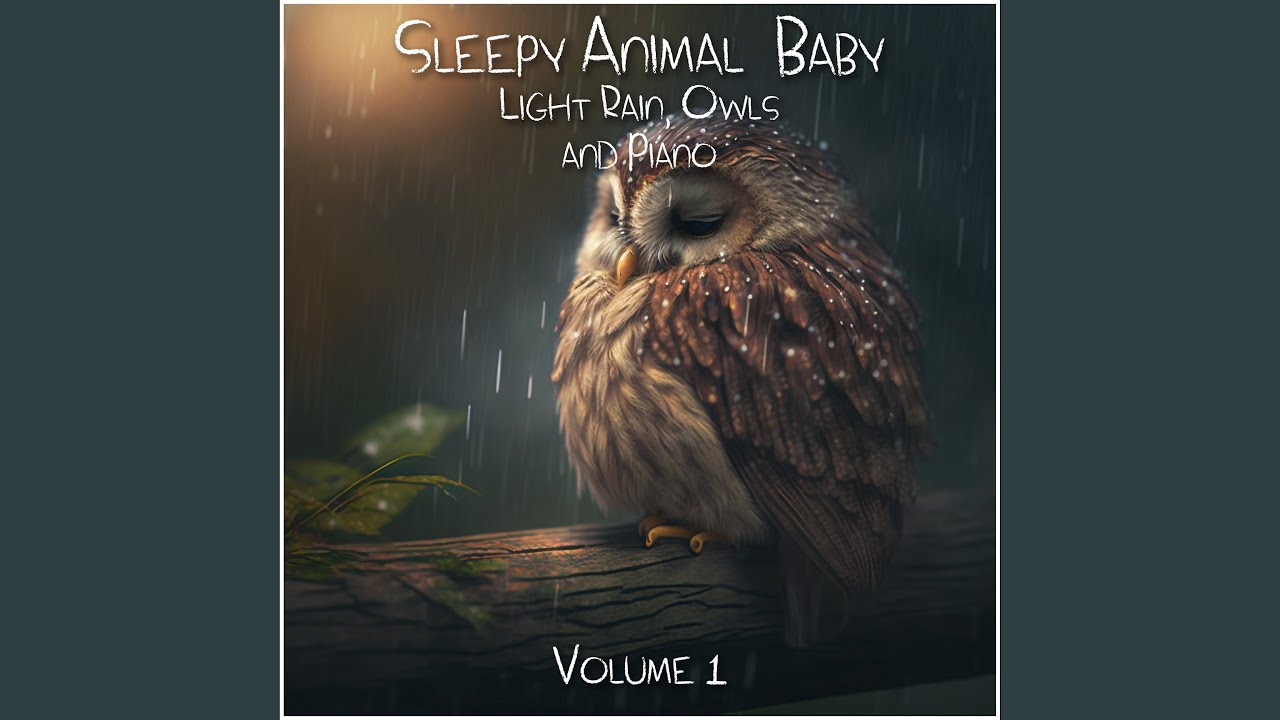 Singing Owls and Calming Piano Pt 3 - YouTube