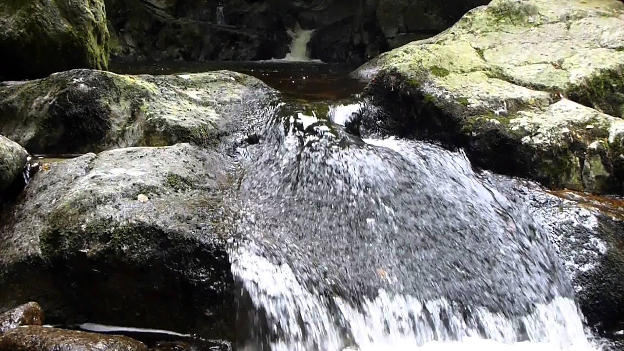 Crough Wood, Mahon Bridge, Co. Waterford, Ireland. - YouTube