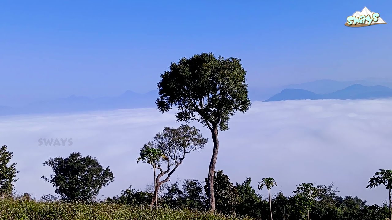 Lambasingi Snowfall | Lambasingi Trip Plan | Lambasingi View Point ...