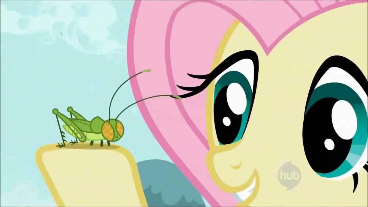 Fluttershy Ladybug or Cricket? - YouTube