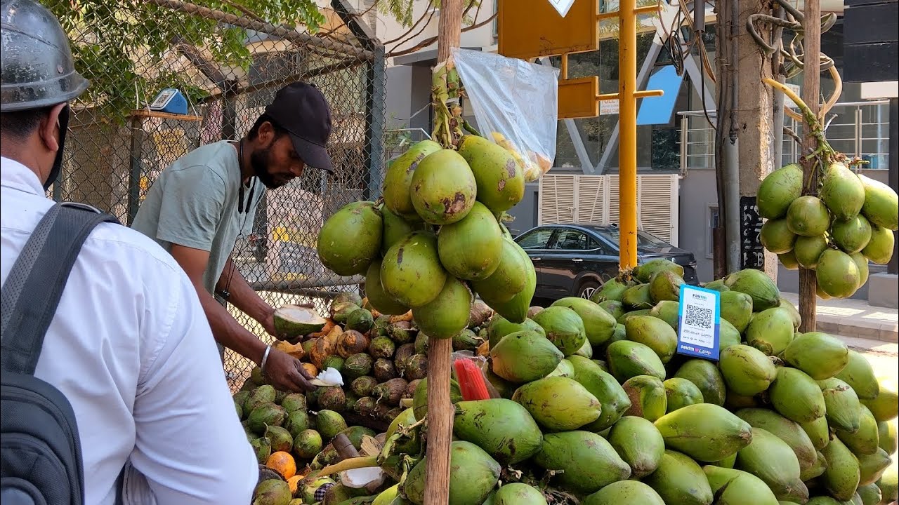 Coconut Business In Bengaluru | Roadside Business Coconut | Fresh ...
