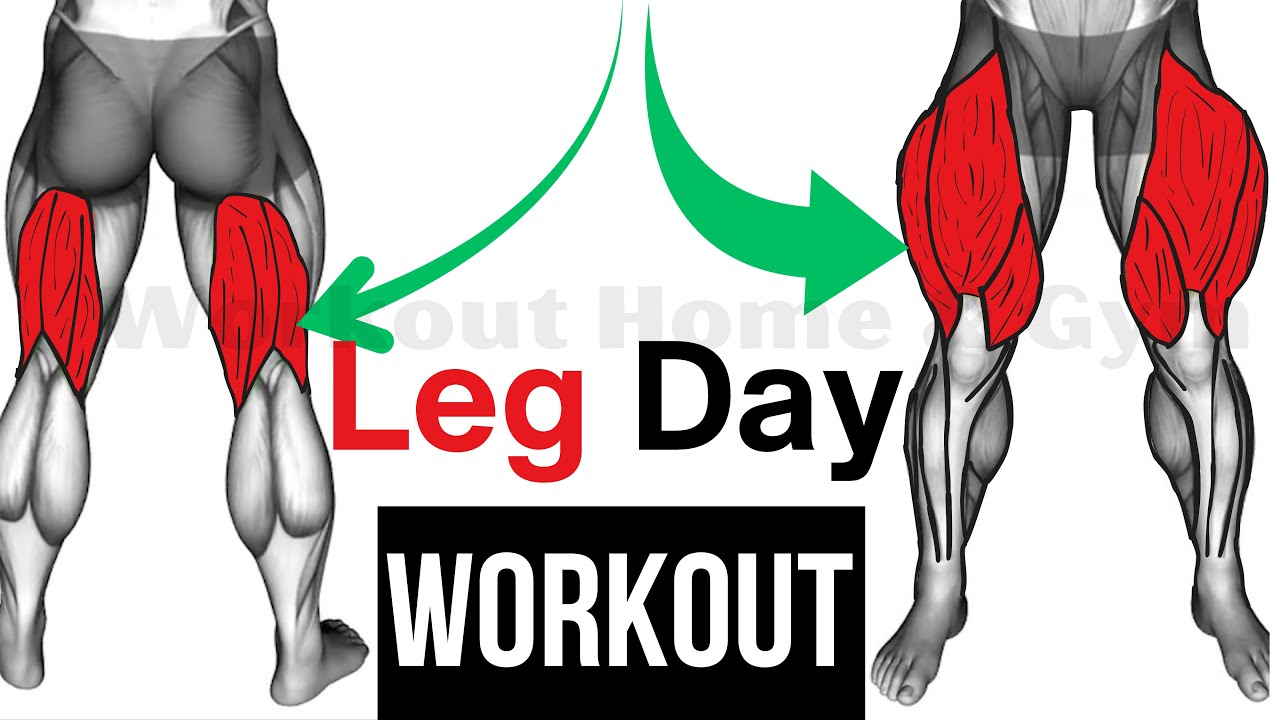 Full LEG Muscle Transformation 6 Best Exercises 💥 - YouTube