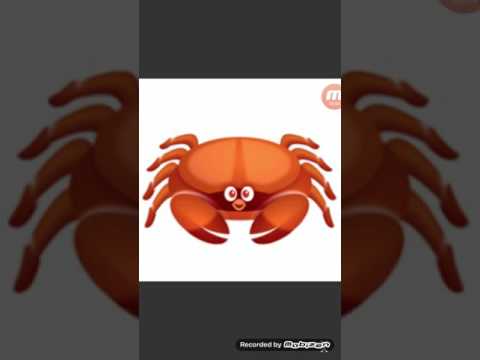 Yengeçler Hskkıbda bilinmeyen 5 bilgi