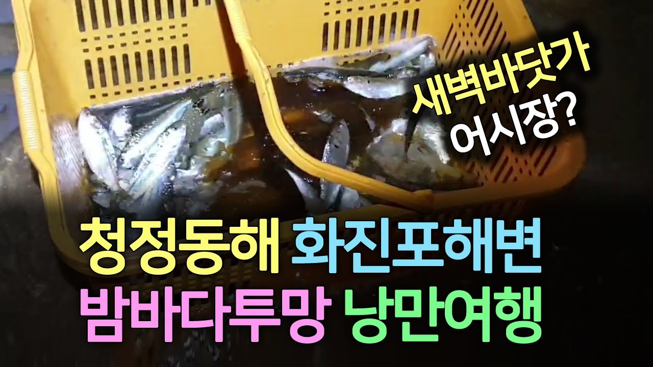 화진포해변밤바다투망조황정보학꽁치투망전어투망동갈치사이즈대물학꽁치사요리화진포해수욕장투망낚시한국투망라이프kcl바다투망달인메탈배스바다투망낚시cast Nets