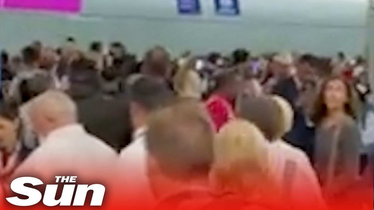 Travellers endure chaotic queues at Heathrow Airport amid cancellations ...