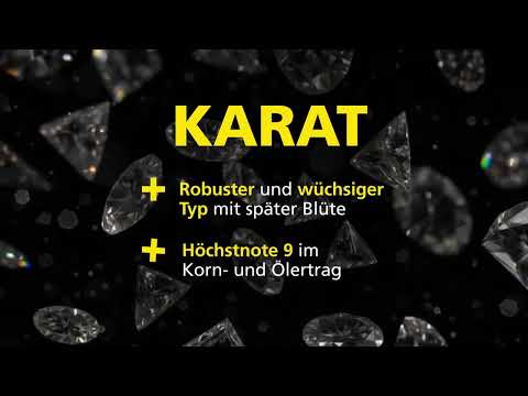 KARAT - Der neue Winterraps mit geschliffener Phoma- und Cylindrosporiumresistenz