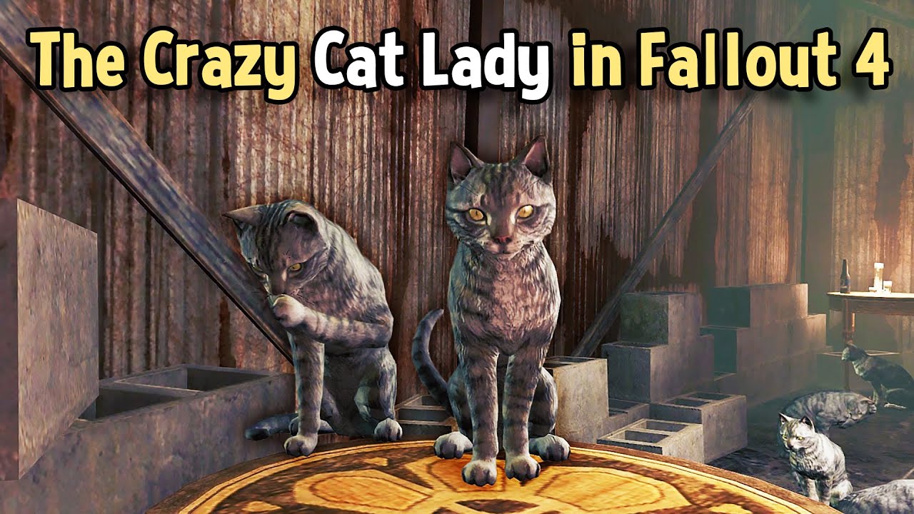 The Crazy Cat Lady in Fallout 4 — Xtra Kredit on the Skooled Zone - YouTube