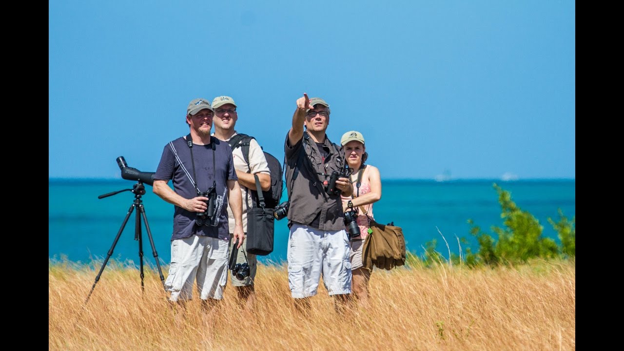 'We all have had migrations" : The Florida Keys Hawkwatch counters ...
