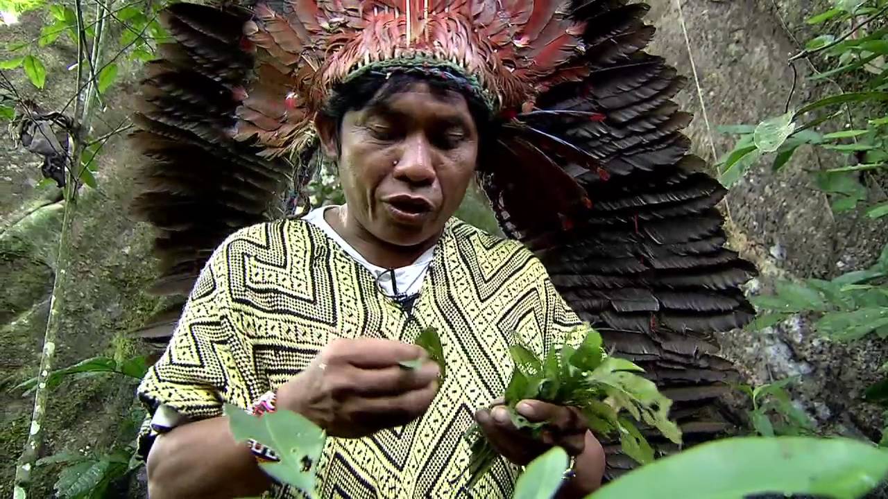"Livro da Cura" dos indígenas Huni Kuin - YouTube