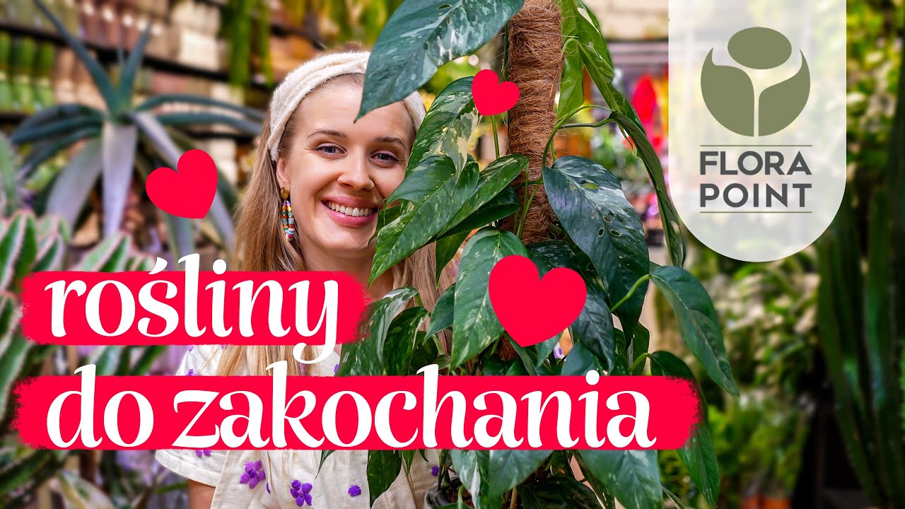 Prezenty na walentynki - wyjątkowe dekoracje i rośliny | przegląd nowości | Flora Point - YouTube