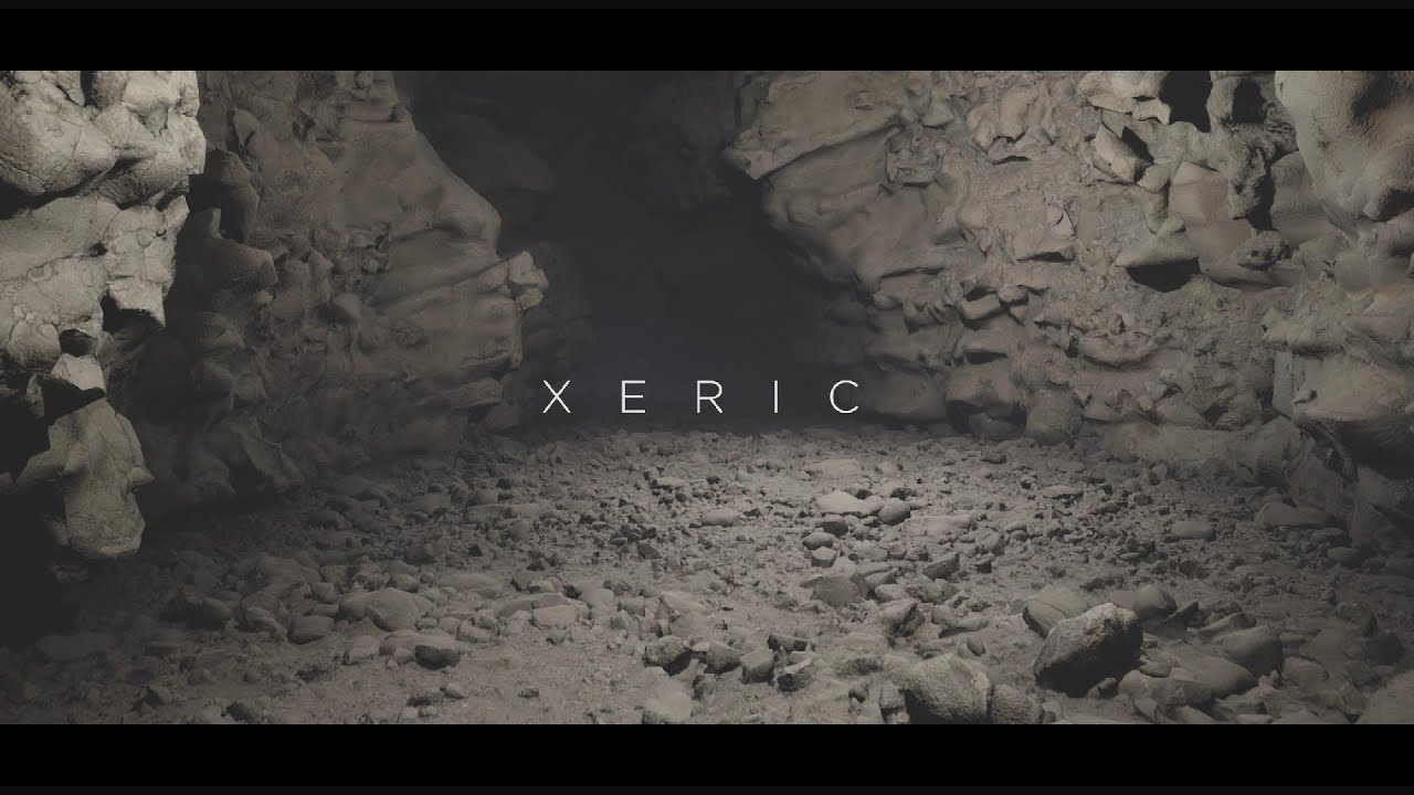 Test Xeric Shrublands Assets by Quixel Megascans - YouTube