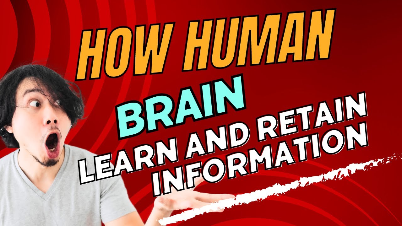Science behind The Incredible Power of human Brain: How We Learn and ...
