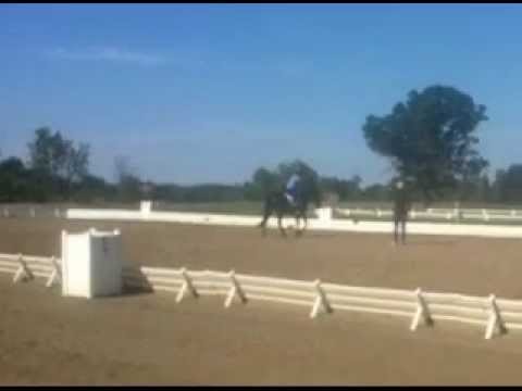 dressage lessons 4 loop serpentine - YouTube